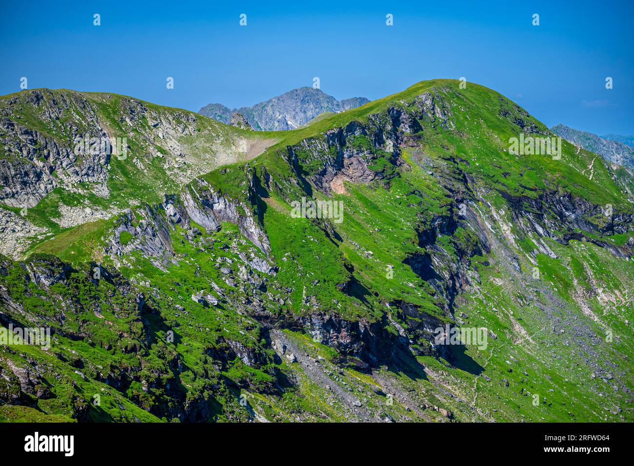 The Mount Paltinul. Summer landscape of the Fagaras Mountains, Romania ...