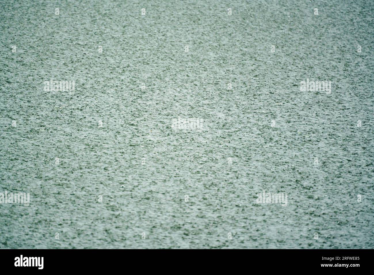heavy rain hitting the water surface Stock Photo - Alamy