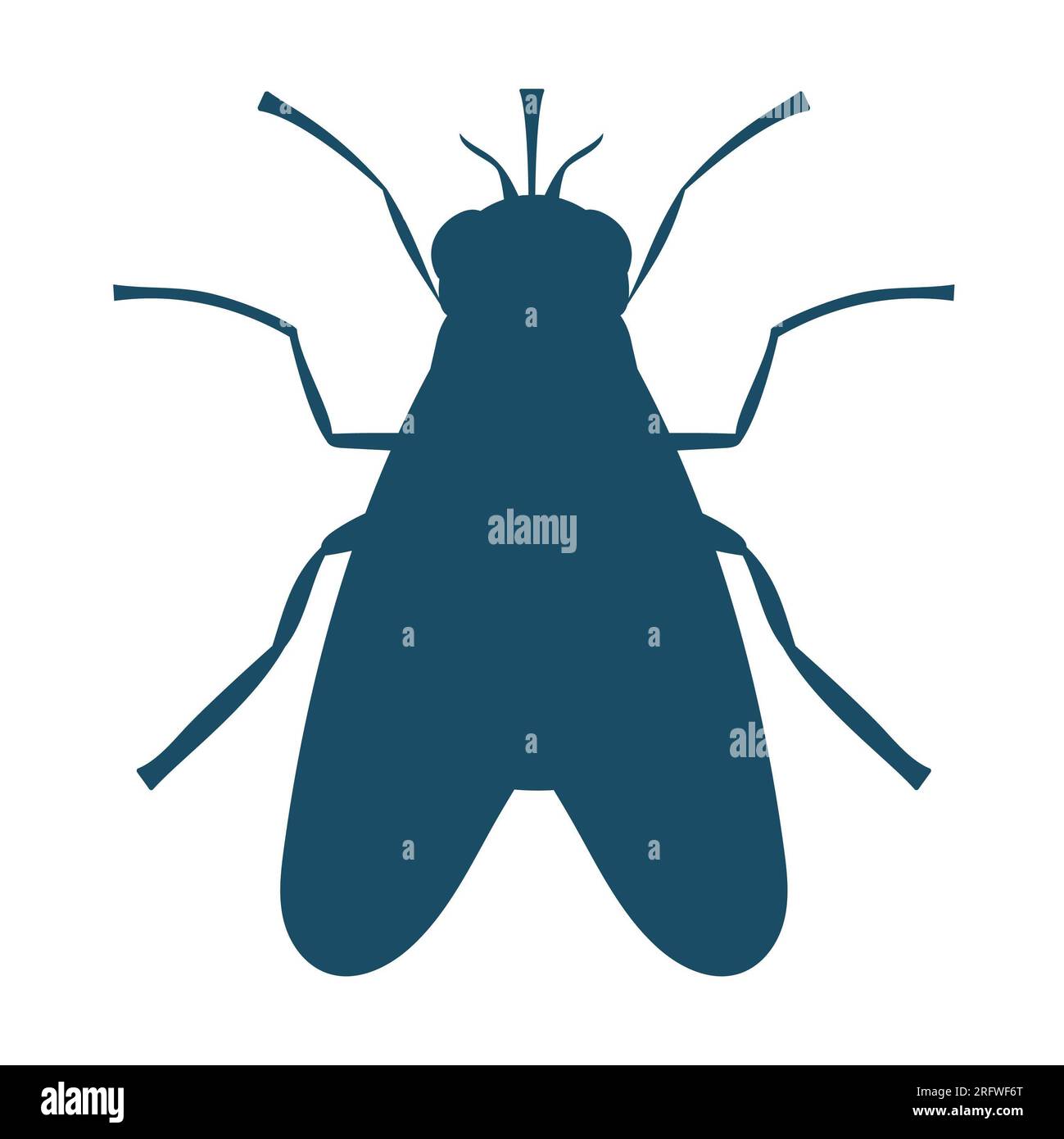 Fly bug on white background. Isolated illustration Stock Photo - Alamy