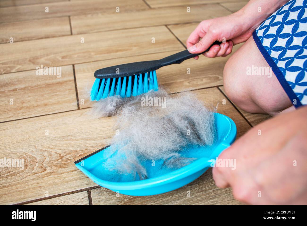 Dog broom hi-res stock photography and images - Alamy