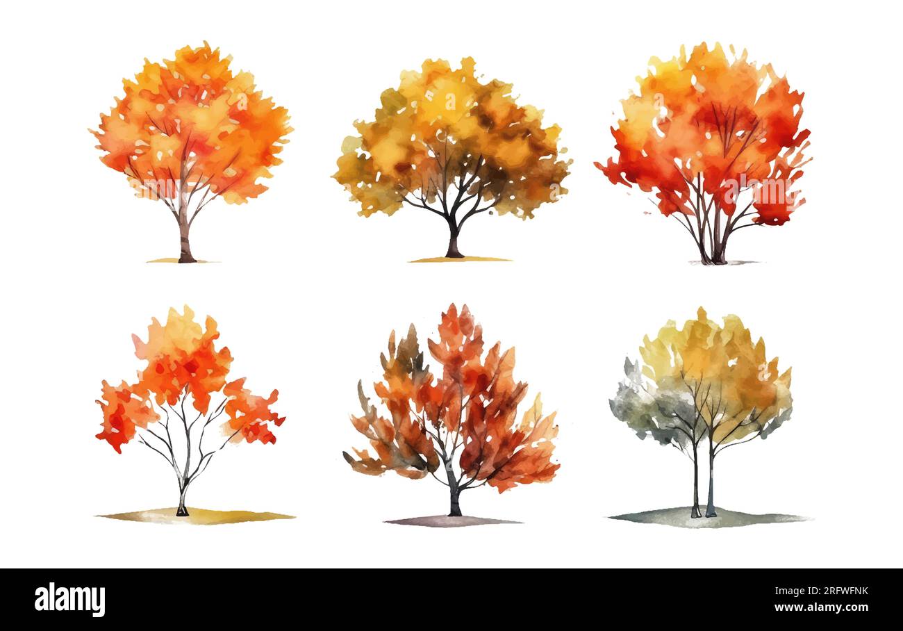 watercolor set vector illustration of colorful autumn tree isolated on ...