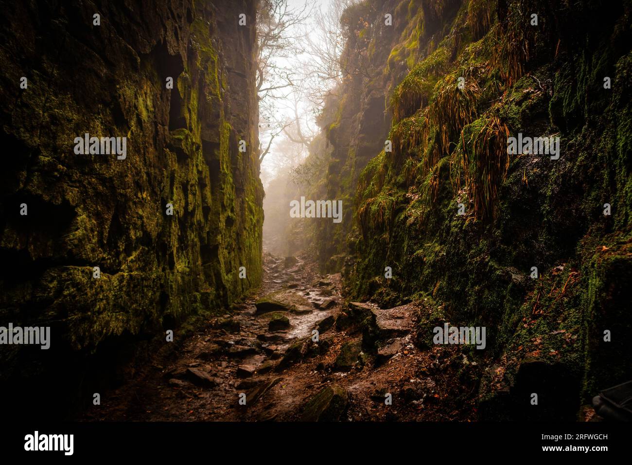 Misty Morning in Mythical Lud's Church in the Peak District Stock Photo ...