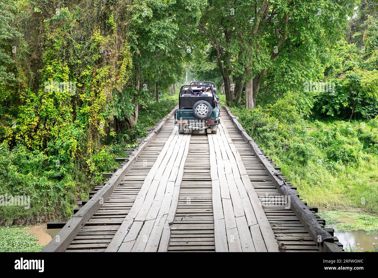 Beautiful landscape of Kaziranga national park in Assam in India ...
