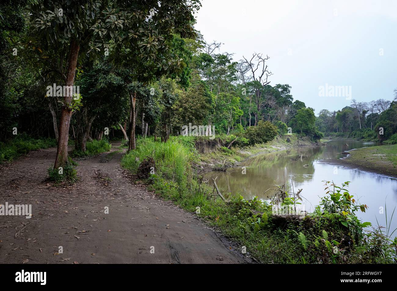 Beautiful landscape of Kaziranga national park in Assam in India ...