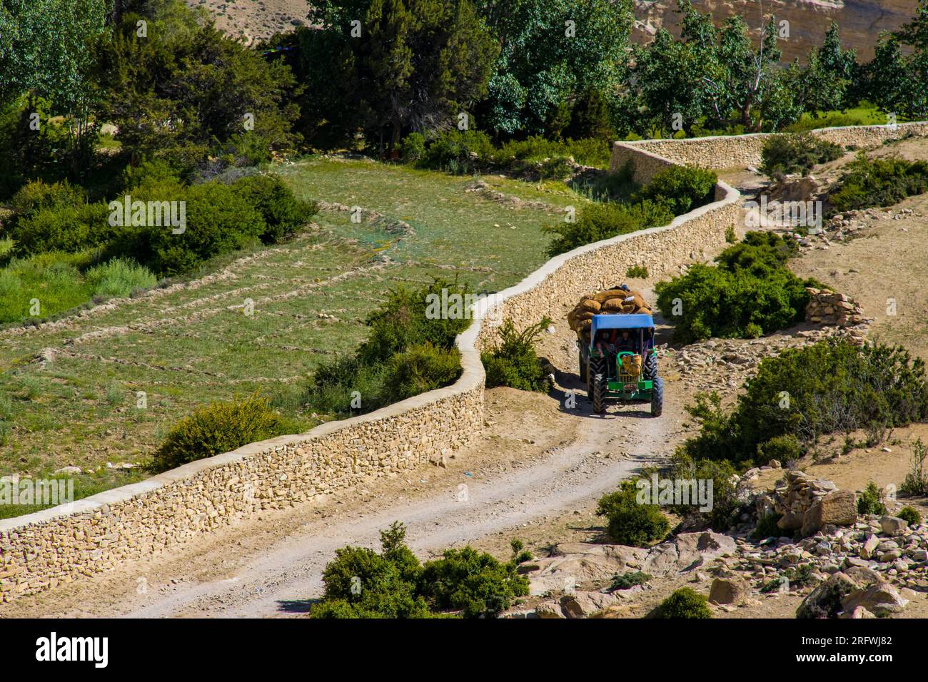 A farm tractor alongside green fields in the desert of Ghiling Village ...