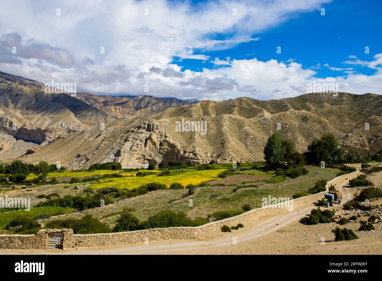A farm tractor alongside green fields in the desert of Ghiling Village ...