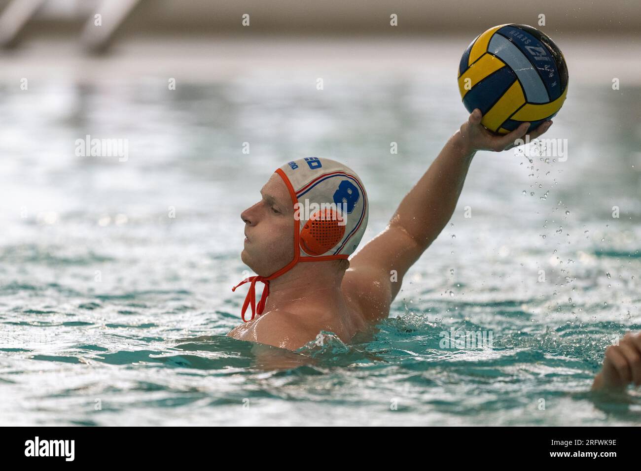 Jeroen rouwenhorst hi-res stock photography and images - Alamy