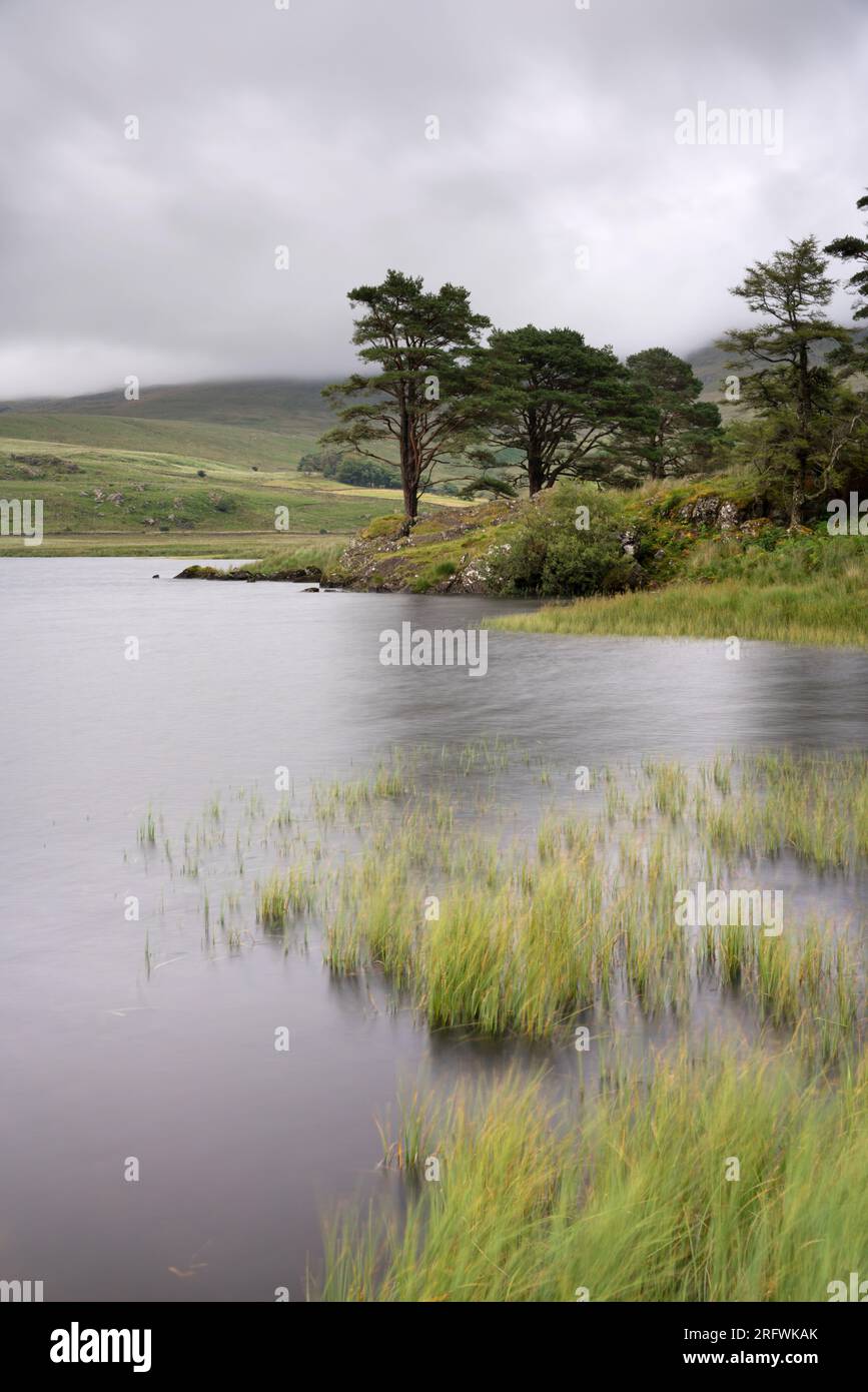 Eryri national park hi-res stock photography and images - Alamy
