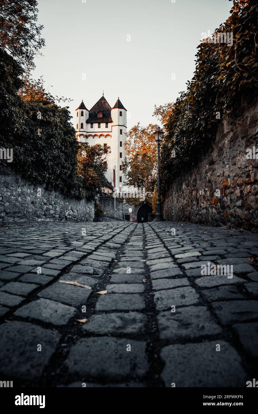 Eltville am Rhein, beautiful historic village in Germany right on the ...