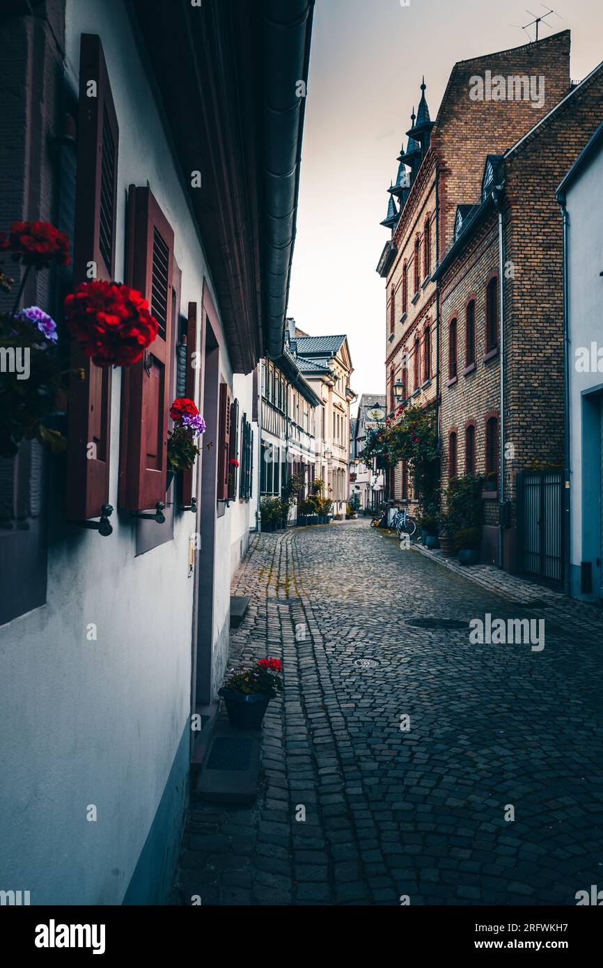 Eltville am Rhein, beautiful historic village in Germany right on the ...