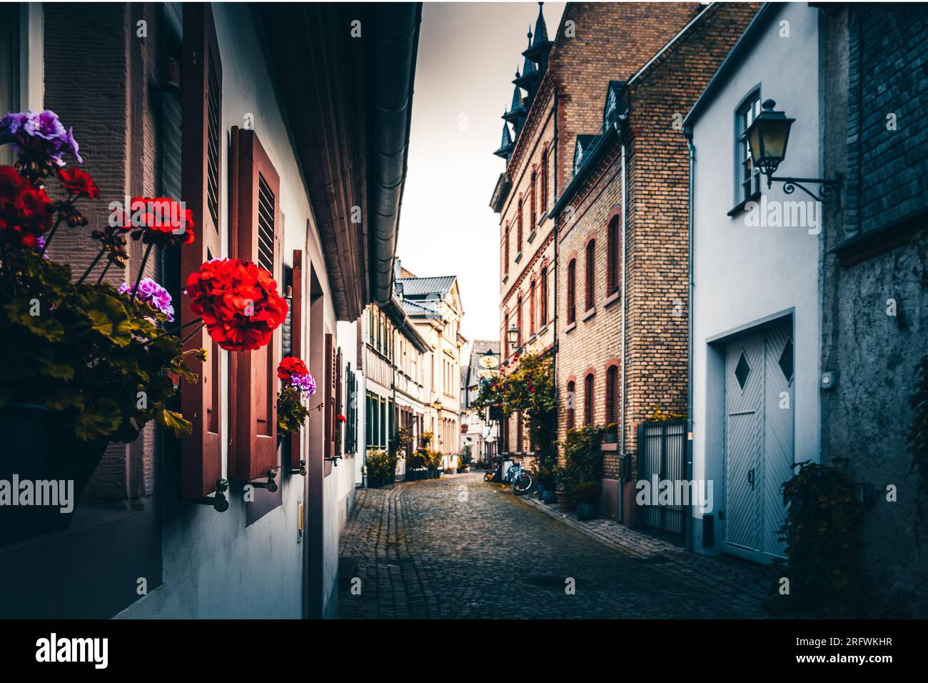 Eltville am Rhein, beautiful historic village in Germany right on the ...