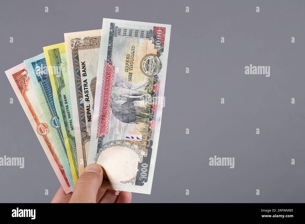 Nepalese money - rupee in the hand on a gray background Stock Photo - Alamy
