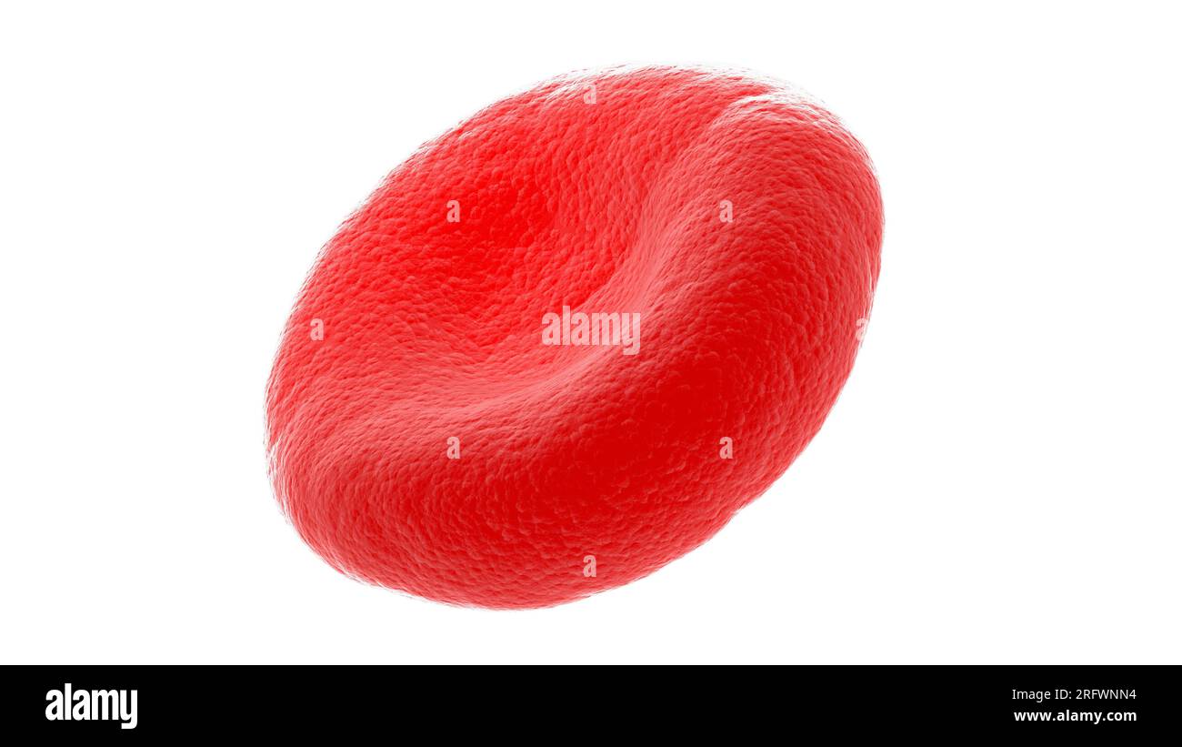 Red blood cell, illustration Stock Photo - Alamy