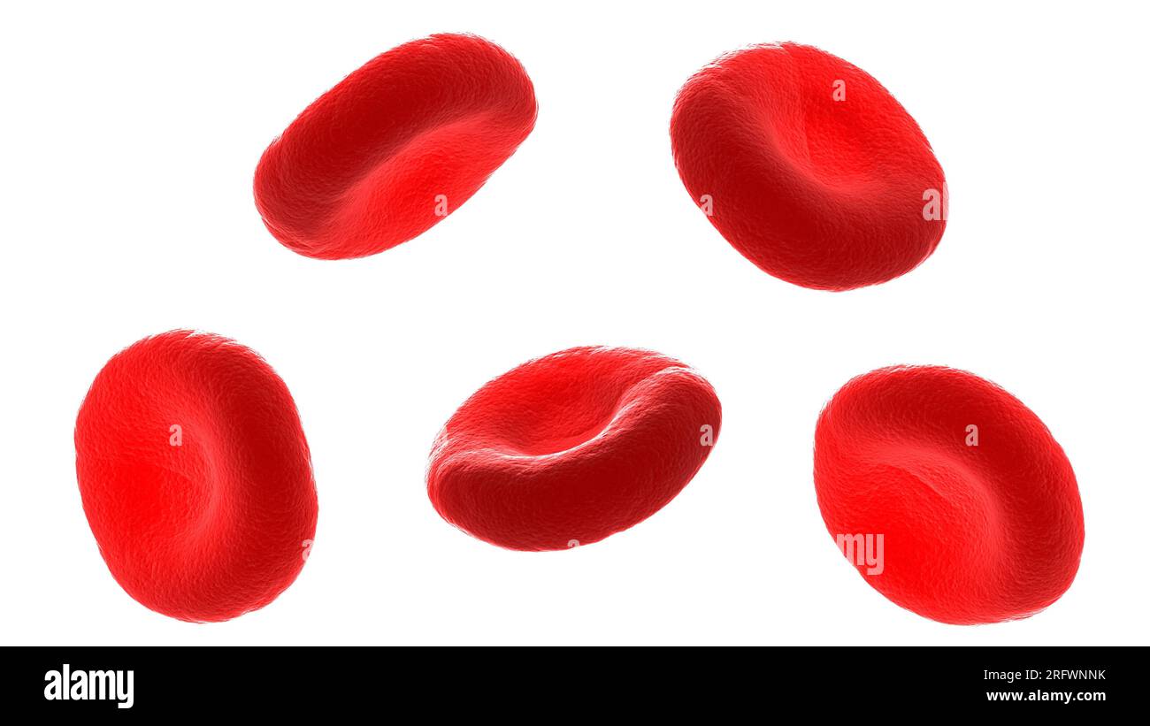 Red blood cells, illustration Stock Photo - Alamy