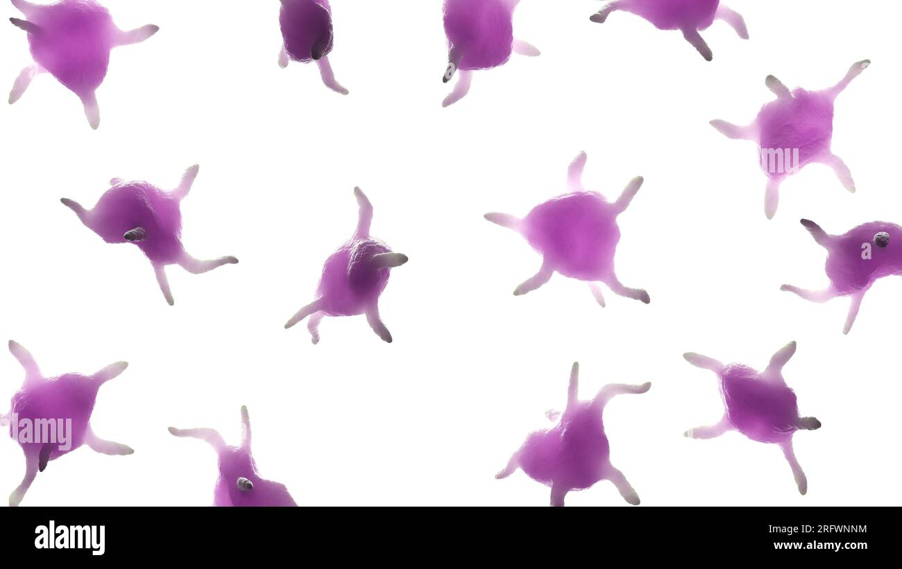 Plasma platelets hi-res stock photography and images - Alamy
