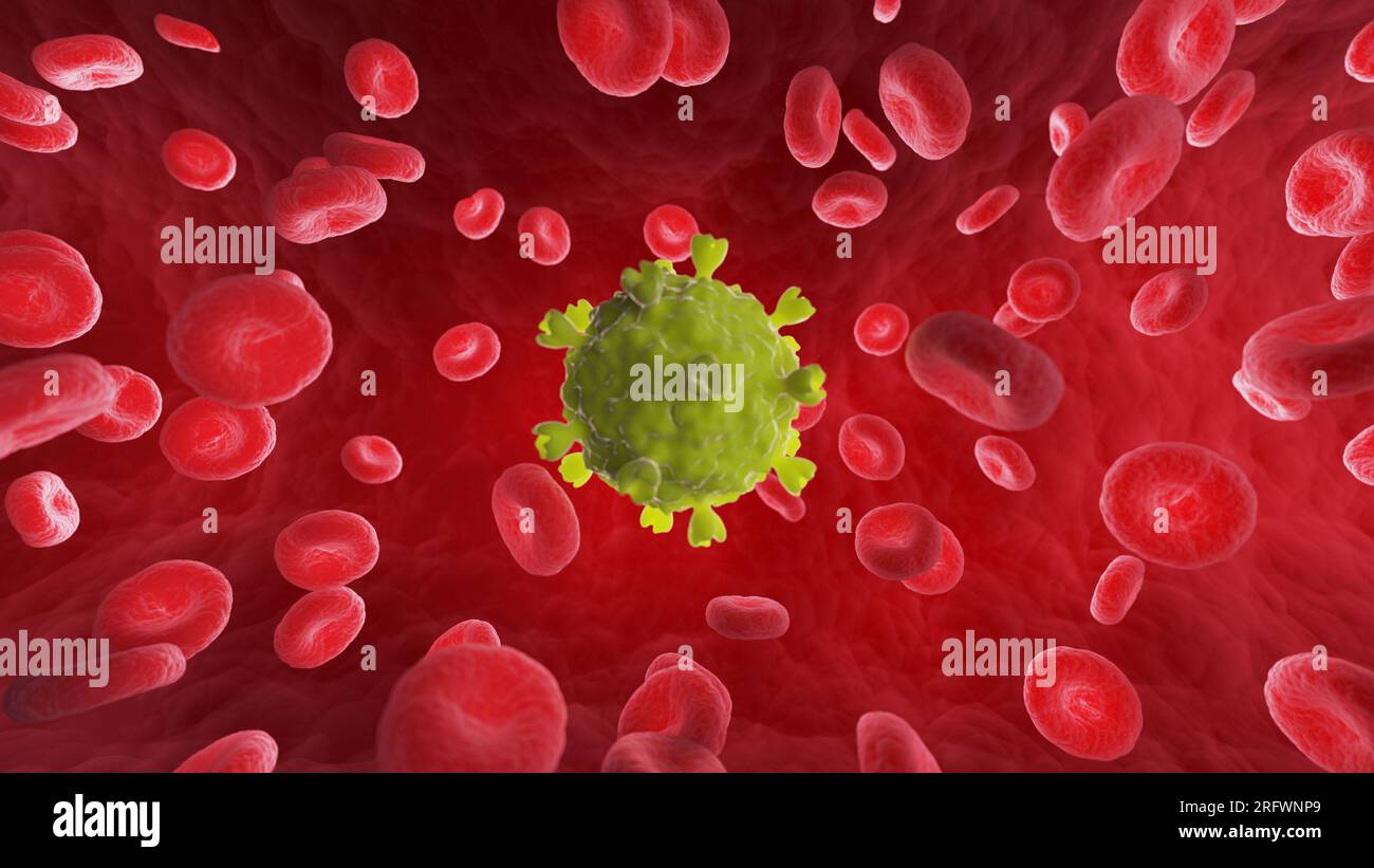 Bloodsteam hi-res stock photography and images - Alamy