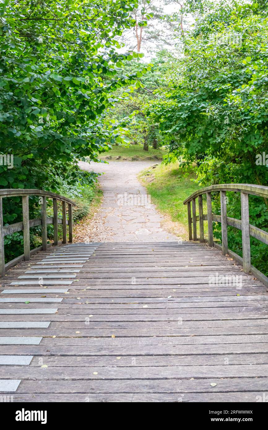 View from arched platform of wooden planks of an arch bridge, top angle ...