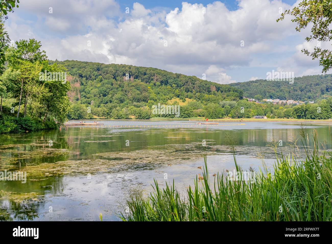 Lake Echternach with algae on water surface, recreational area and hill ...