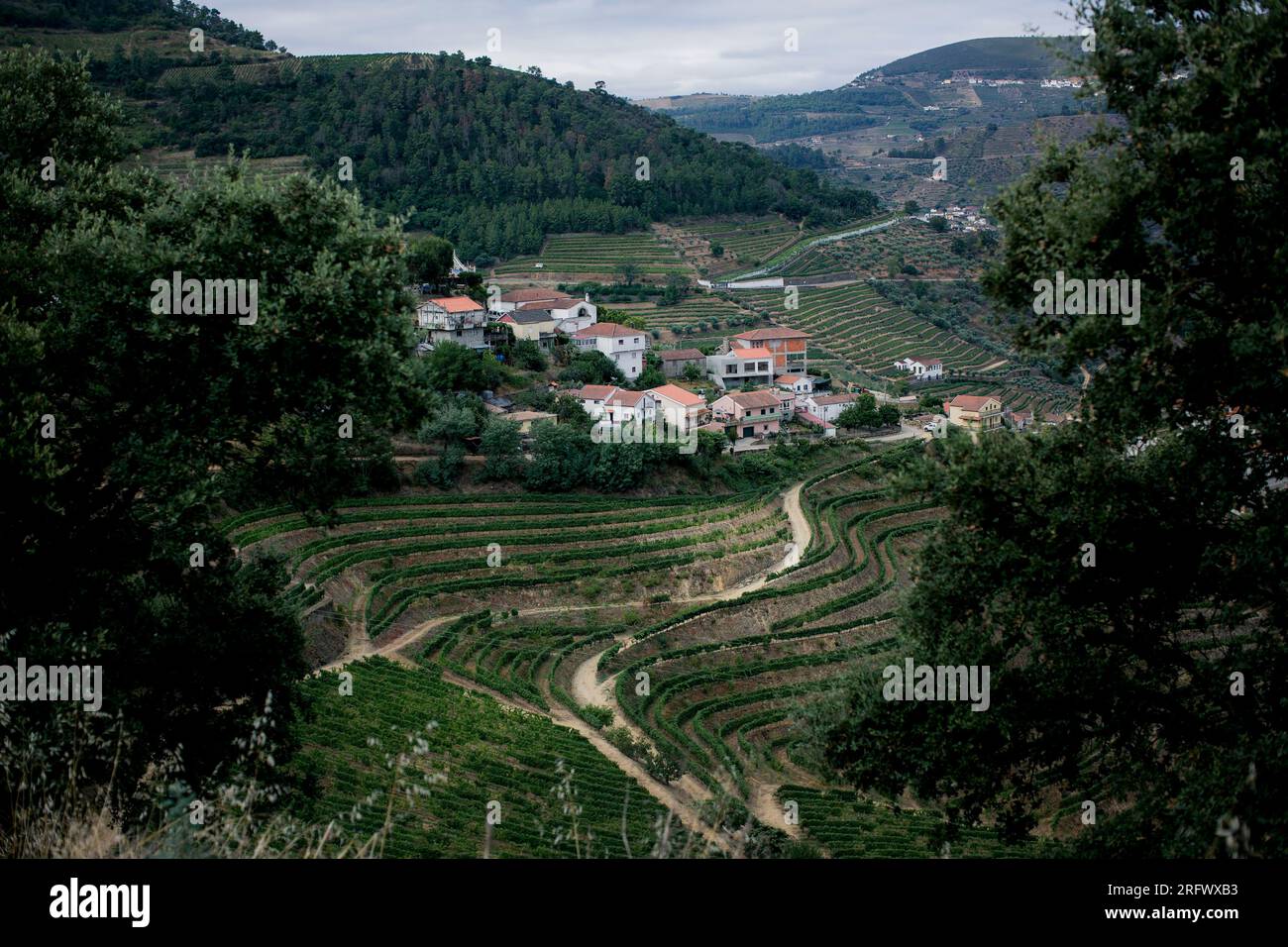 Little valley plantation hi-res stock photography and images - Alamy