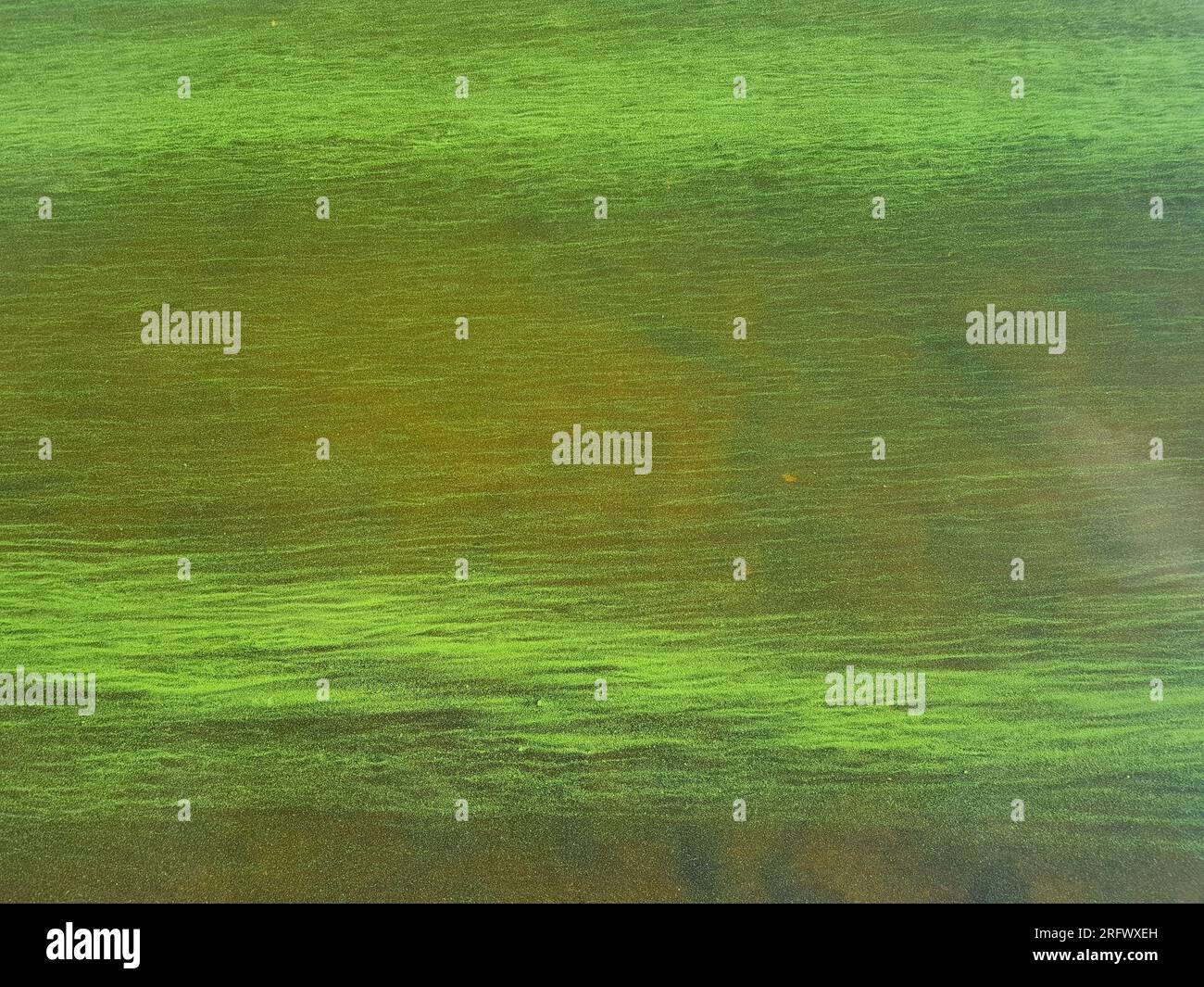 Water pollution by blooming blue-green algae - Cyanobacteria is world ...