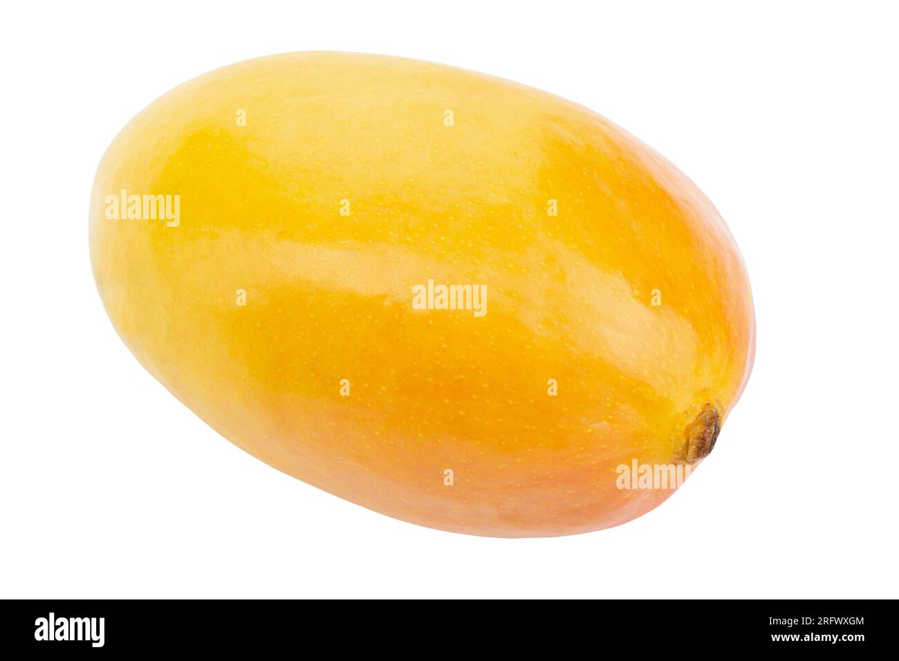 Mango fruit isolated in white background. Healthy food. File contains ...