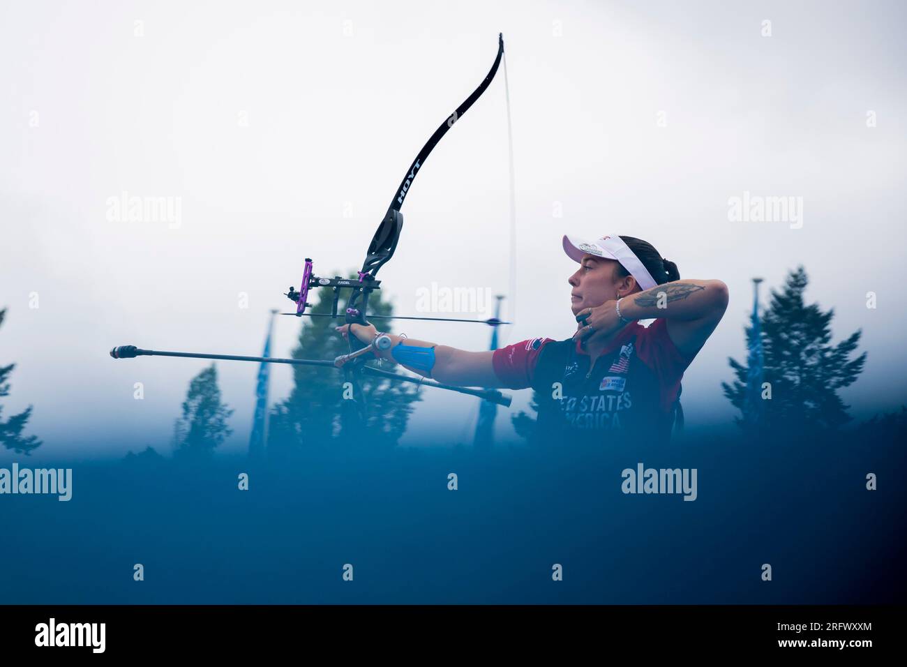 Blue Olympic Recurve Bow