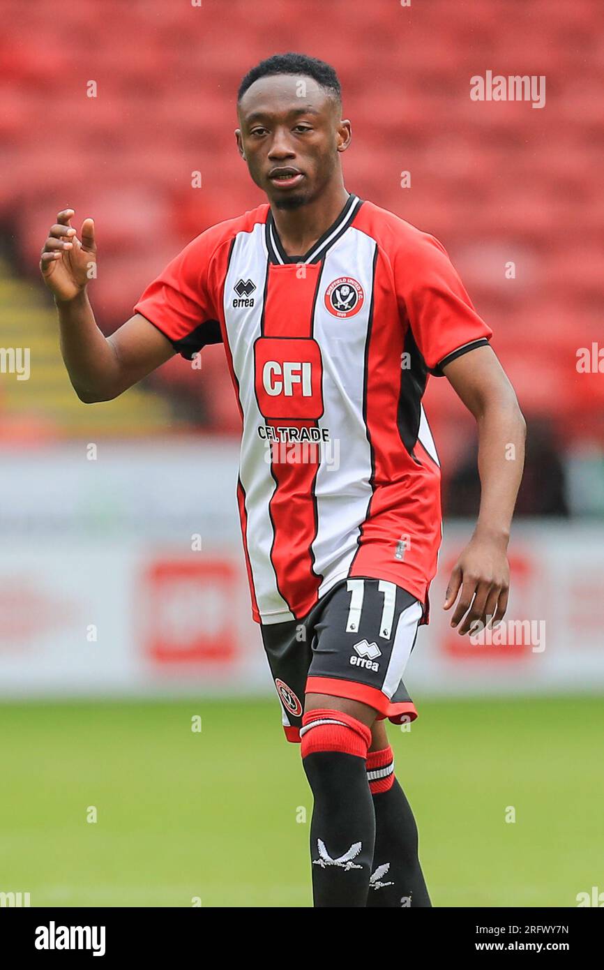 Vfb stuttgart 2023 hi-res stock photography and images - Alamy