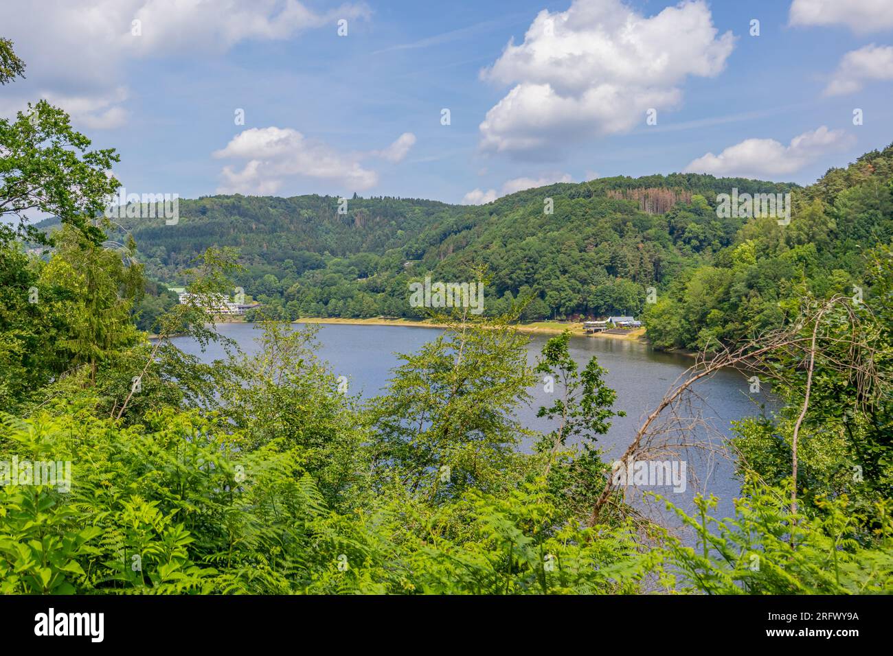 Partial view of Stausee Bitburg reservoir lake through green foliage ...