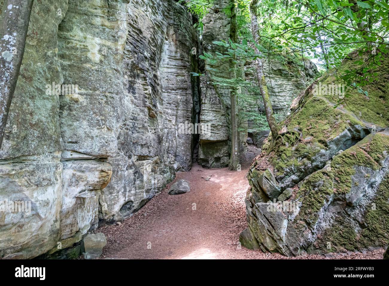 Huge rock formations in nature reserve Teufelsschlucht, walls with moss ...