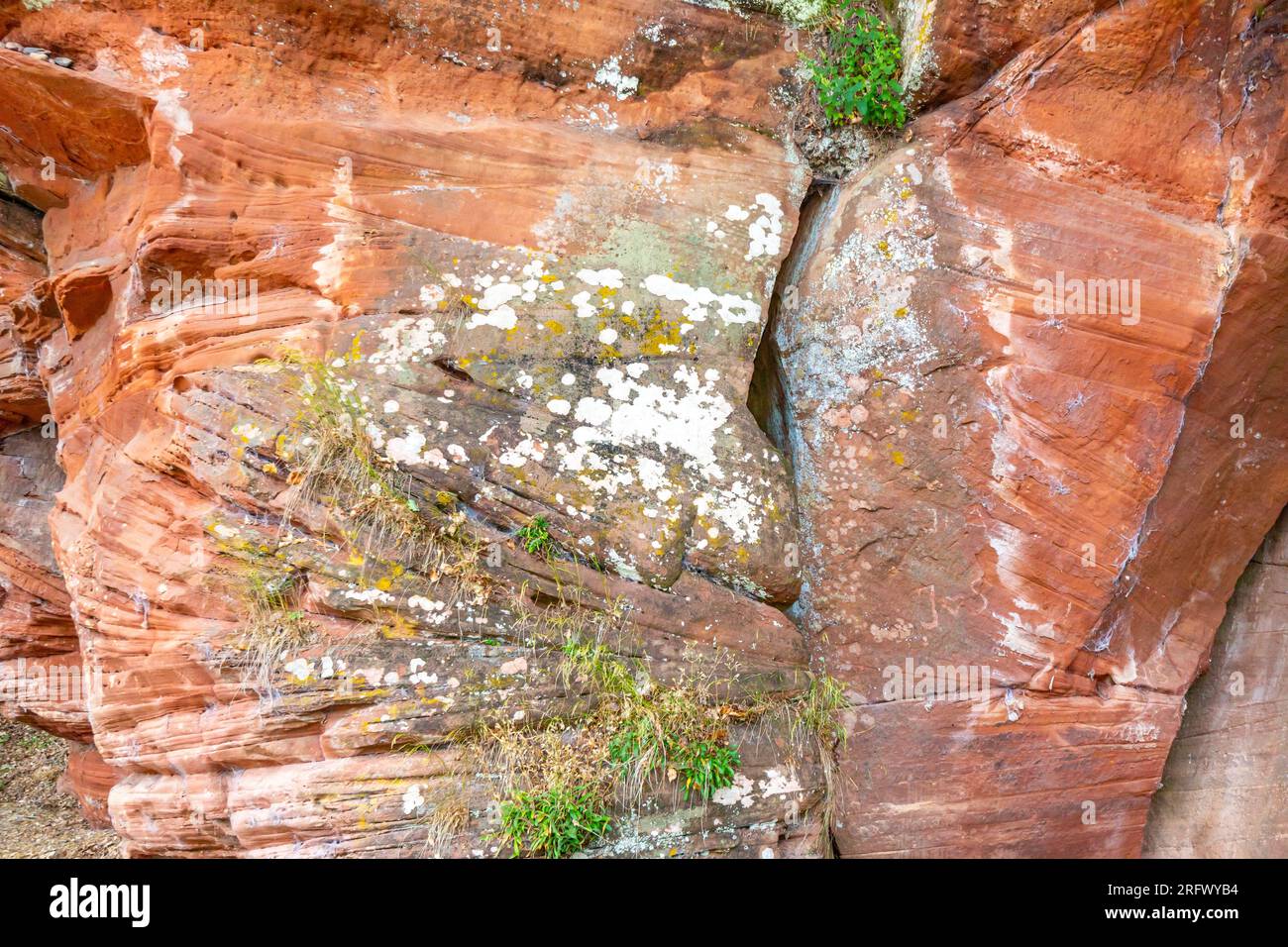 Close-up of sandstone rock formation, wall with irregular texture ...