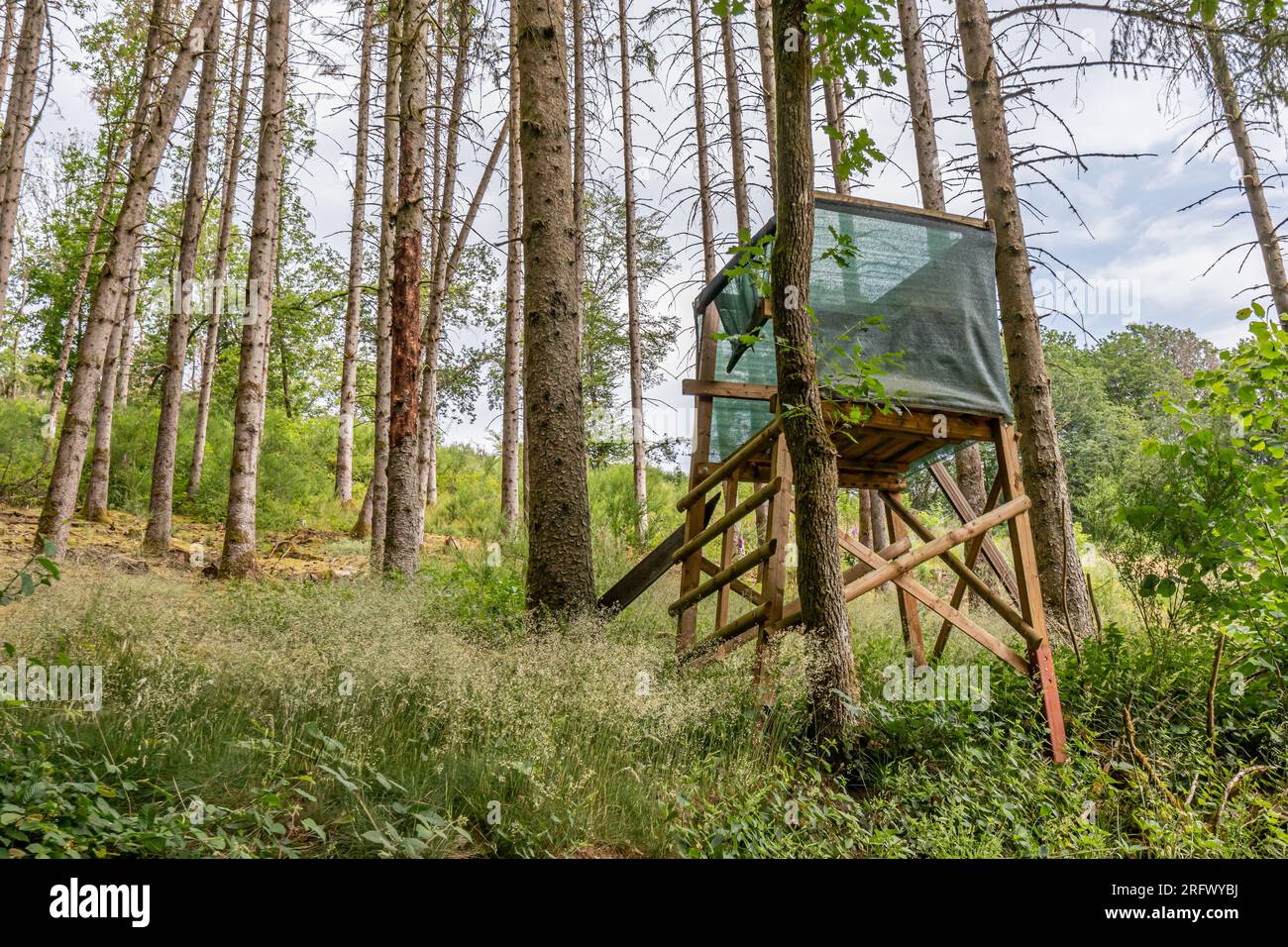 Raised platform nature trail hi-res stock photography and images - Alamy