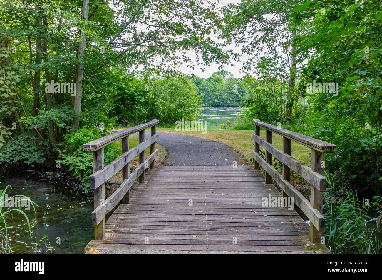 Small rustic footbridge over a stream, wooden plank platform, abundant ...