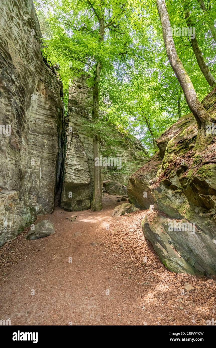 Teufelsschlucht nature reserve with walking path between huge rock ...