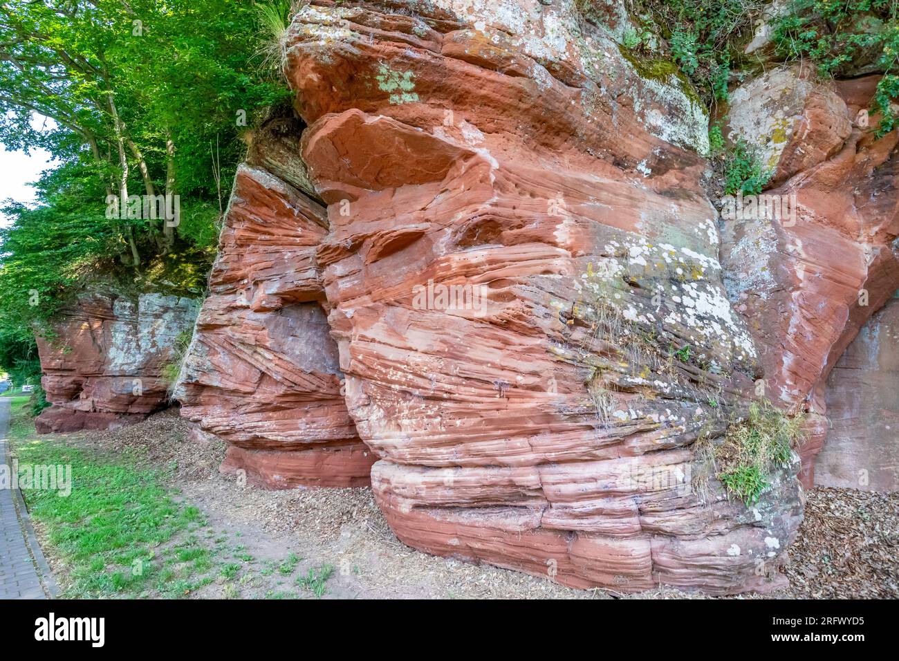 Red sandstone rock formation, irregular texture, mold, white spots and ...