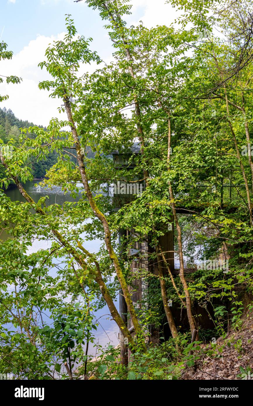 Thin branches with green foliage of trees with a cabin and structure ...