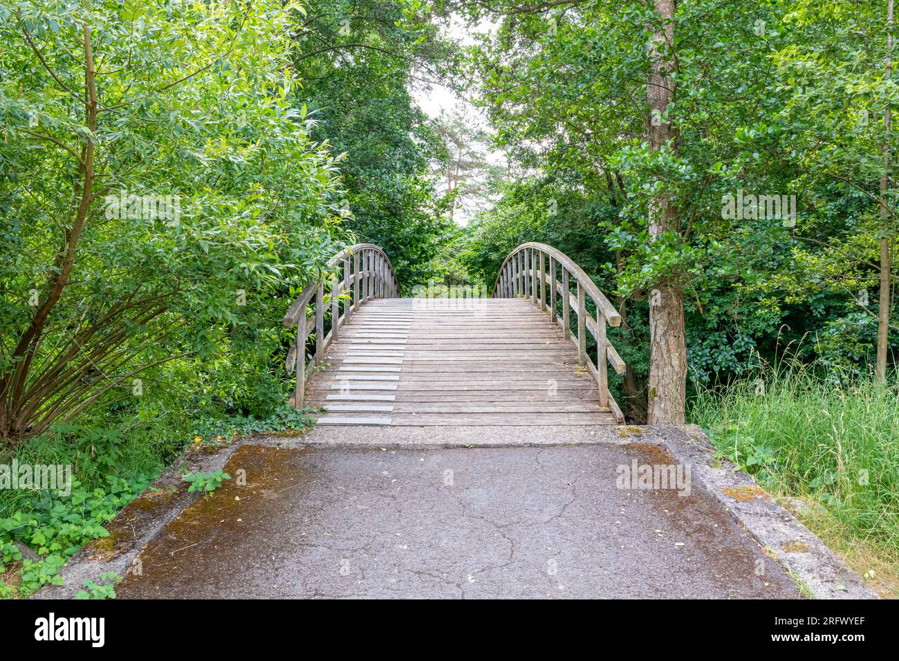 Pedestrian path leading to an arch bridge over a stream, arched ...