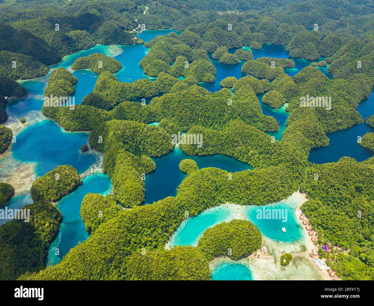 Top view of Green rainforest and turquoise sea water in lagoon. Surigao ...