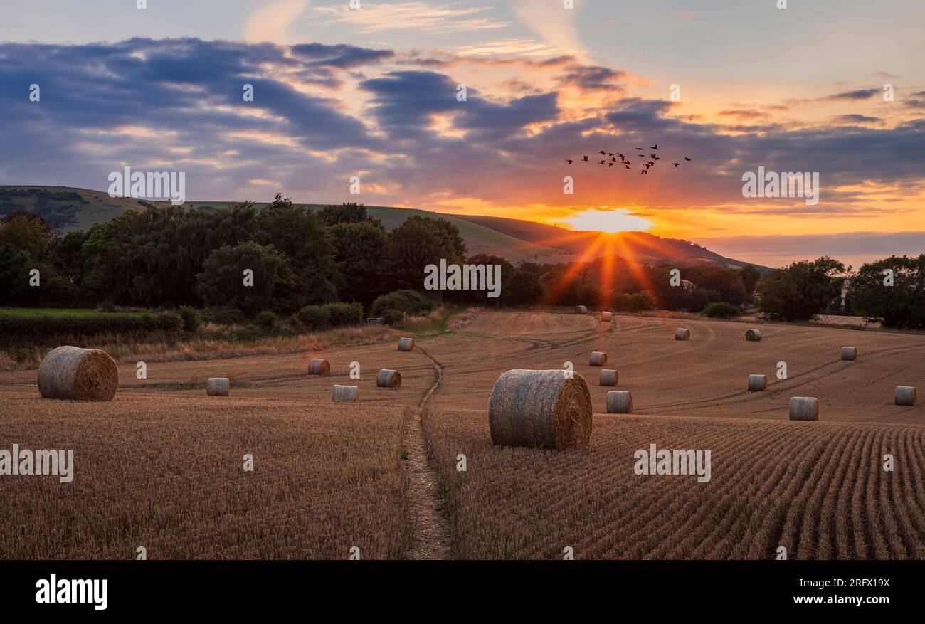 Sunset behind Kingston Ridge from the Rodmell Barley fields nestled in ...