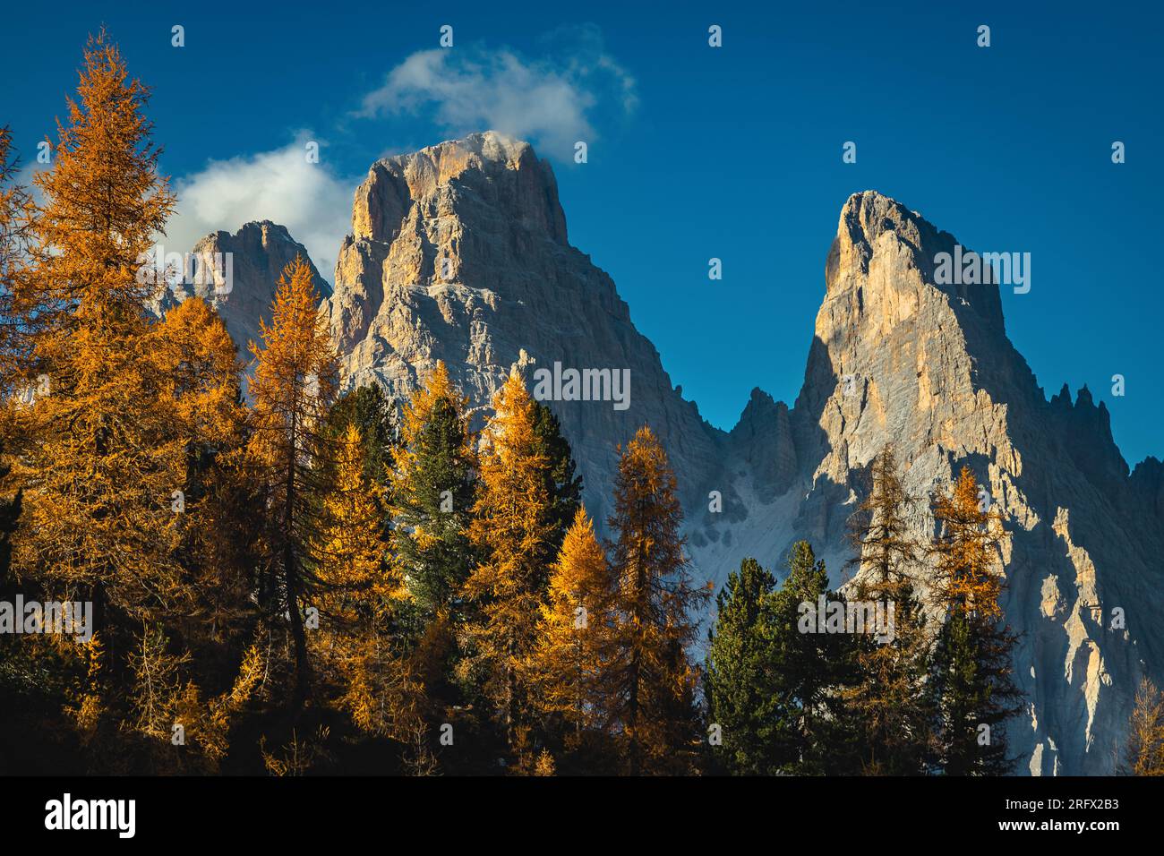 Majestic autumn alpine landscape with colorful redwood forest and ...