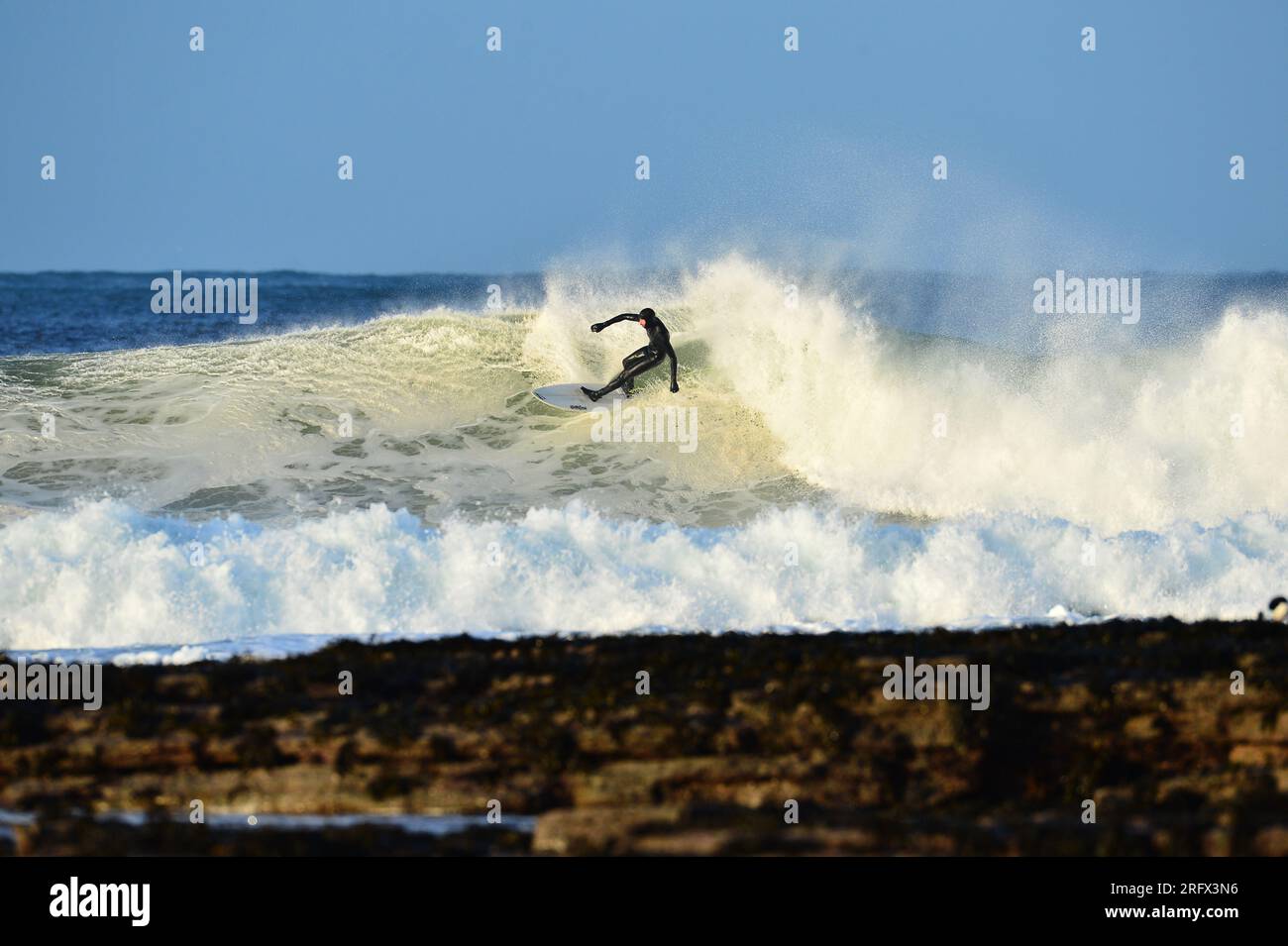 Swimmer and breaking wave hi-res stock photography and images - Alamy