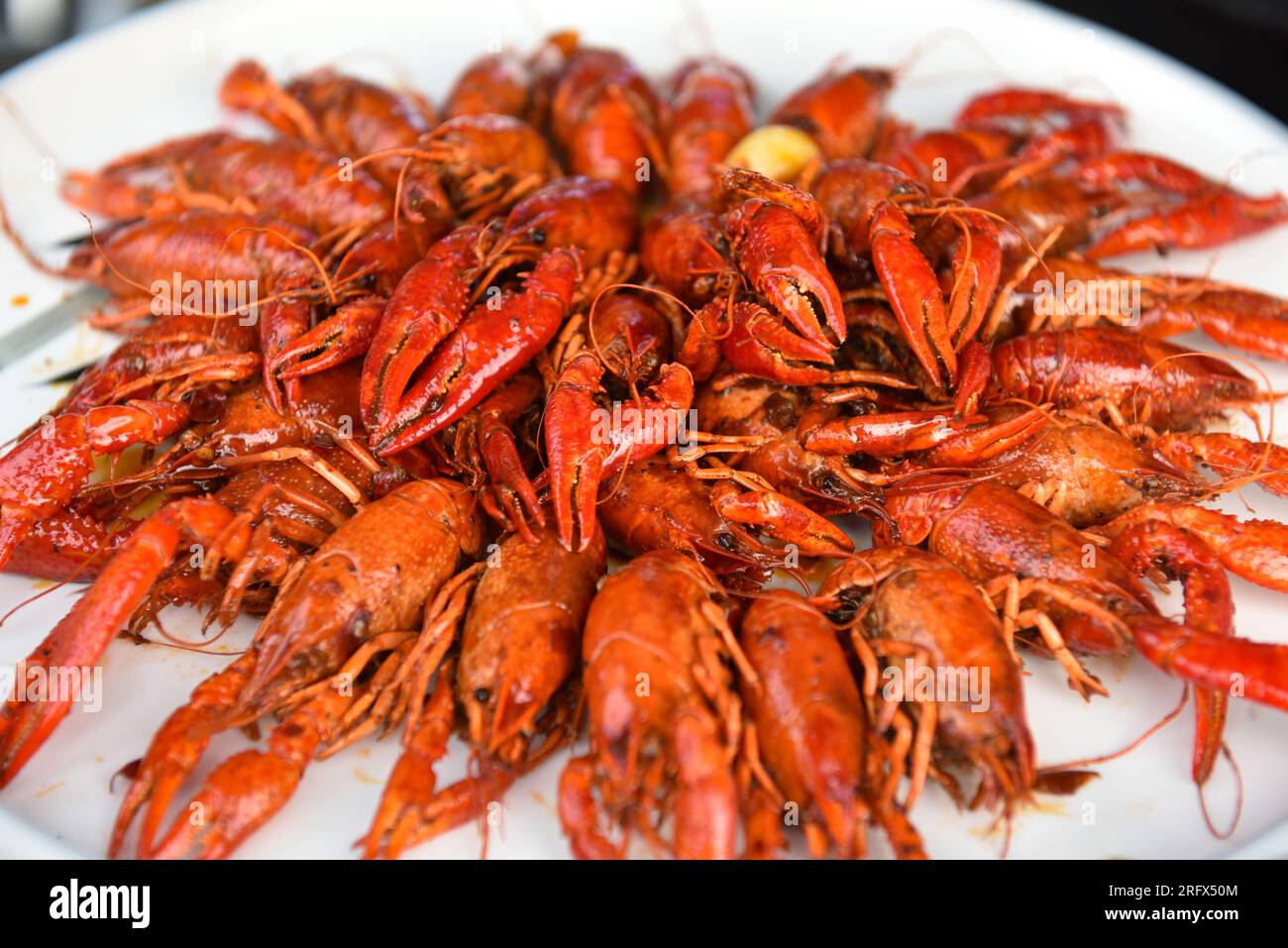 Fuyang, China. 06th Aug, 2023. Cooked lobsters are served on a plate in ...