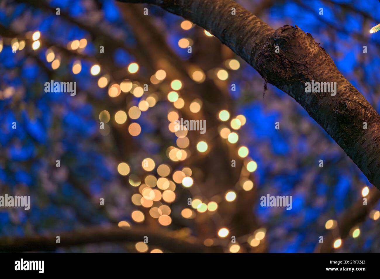 Meaningful tribute hi-res stock photography and images - Alamy