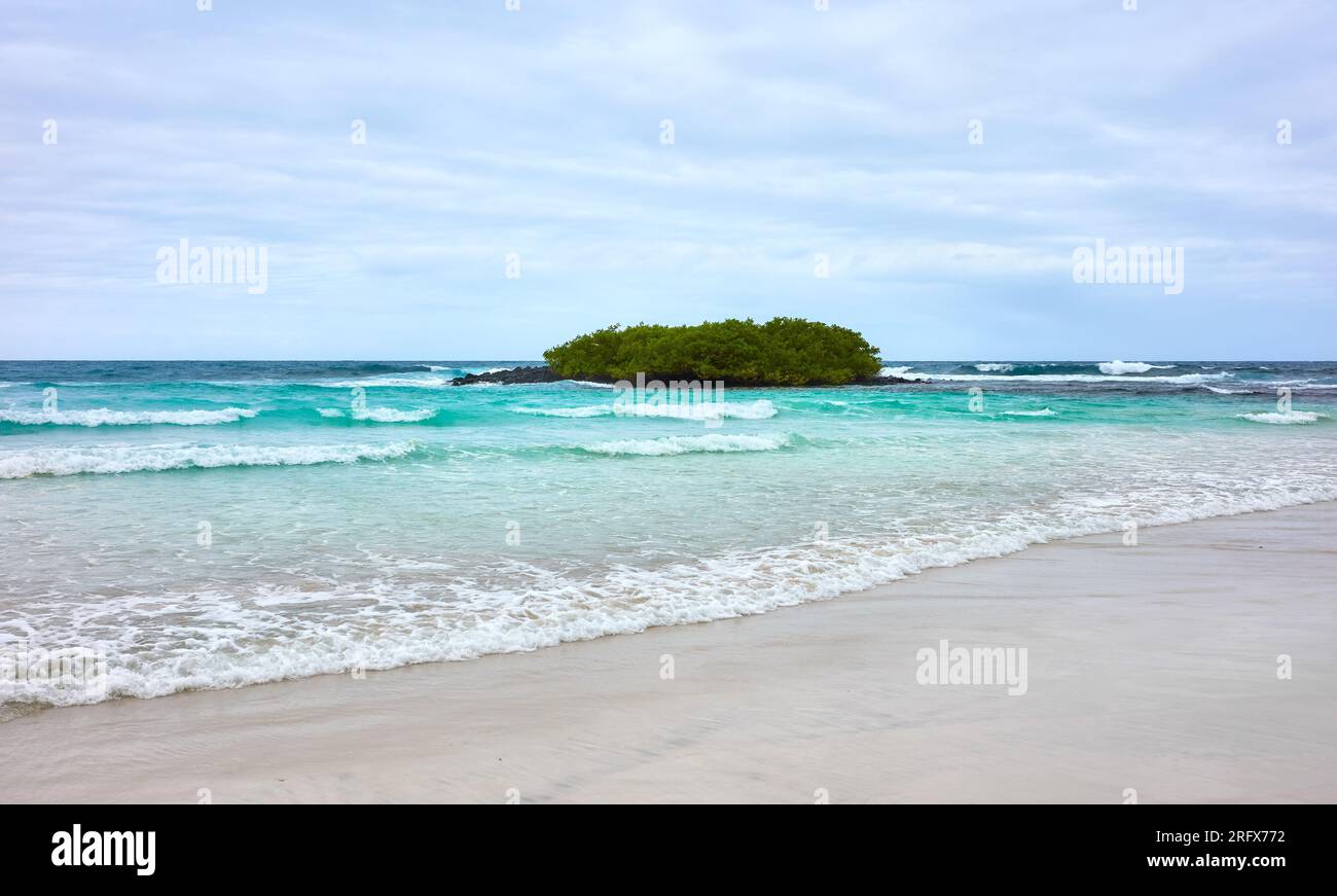 Tortuga Bay beach on Santa Cruz Island, Galapagos Islands, Ecuador ...