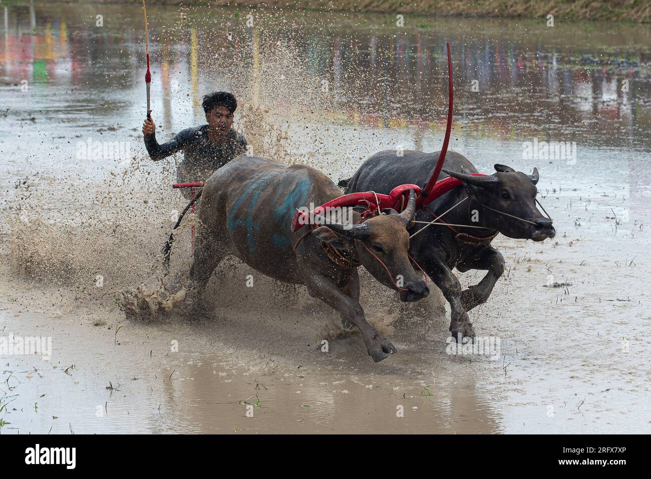 Chonburi, Thailand. 06th Aug, 2023. A jockey seen competes during the ...