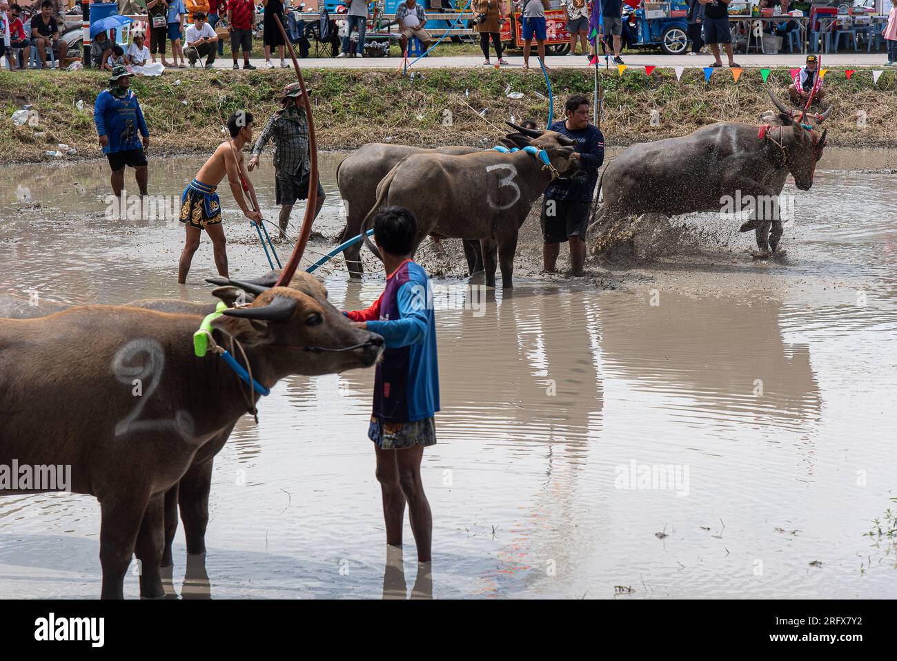 Chonburi, Thailand. 06th Aug, 2023. Buffalo owners and Jockeys seen ...