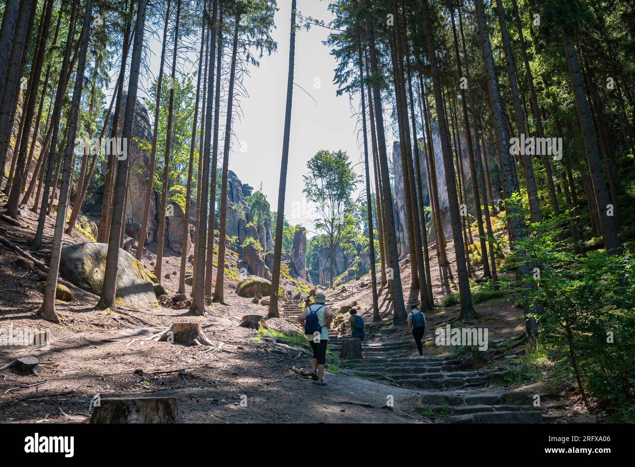 Entrance to a gorge with the rock towers of Prachov Rocks in Bohemia ...