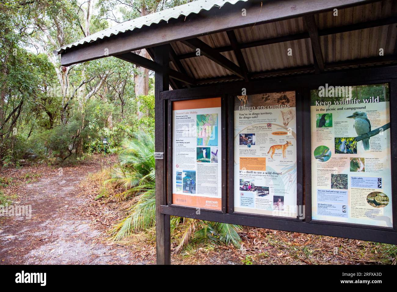 Lake Wabby on Fraser Island K'gari, tourist and visitor information ...