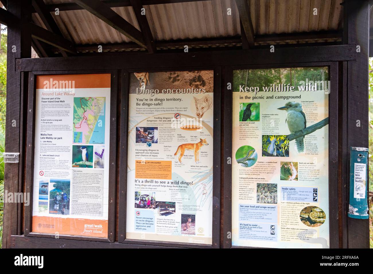 Lake Wabby on Fraser Island K'gari, tourist and visitor information ...