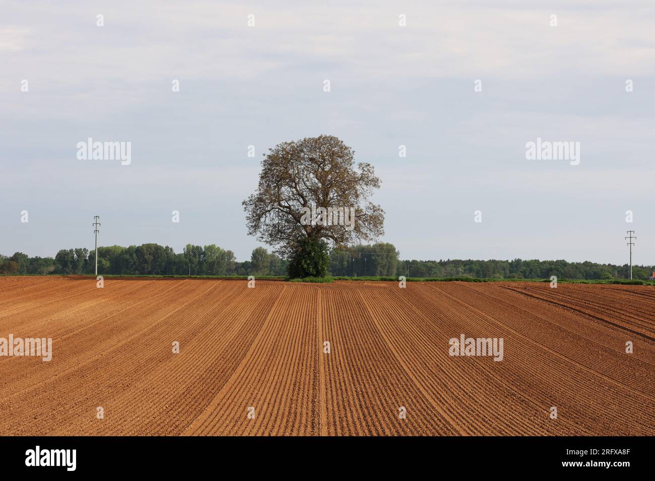 Landscape Field. Freshly plowed field Stock Photo - Alamy