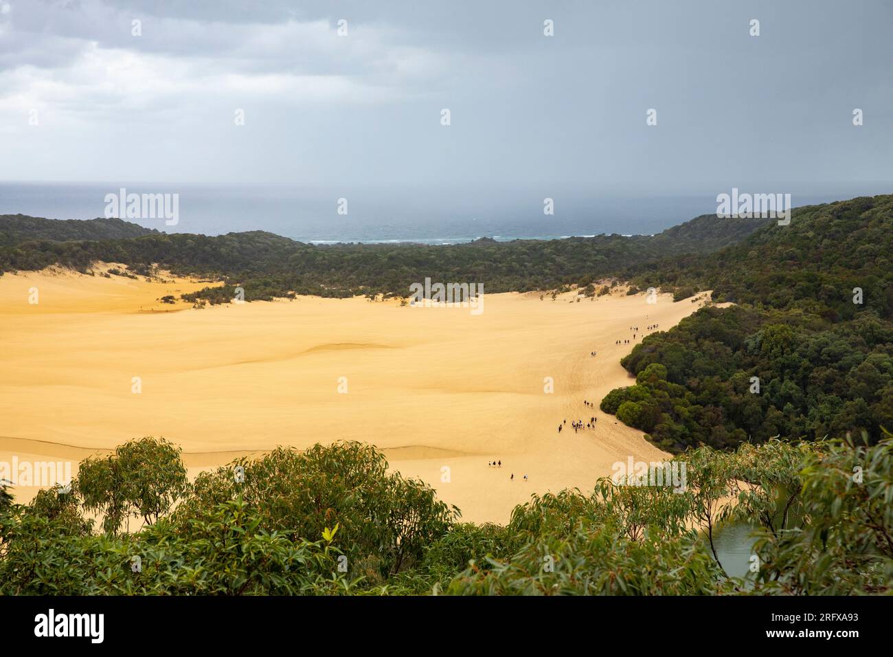 Fraser Island, kgari and sand dunes at Lake Wabby, Queensland,Australia ...